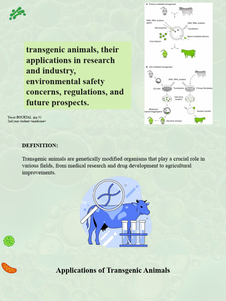 Transgenic Animals | PDF | Transgene | Viral Vector