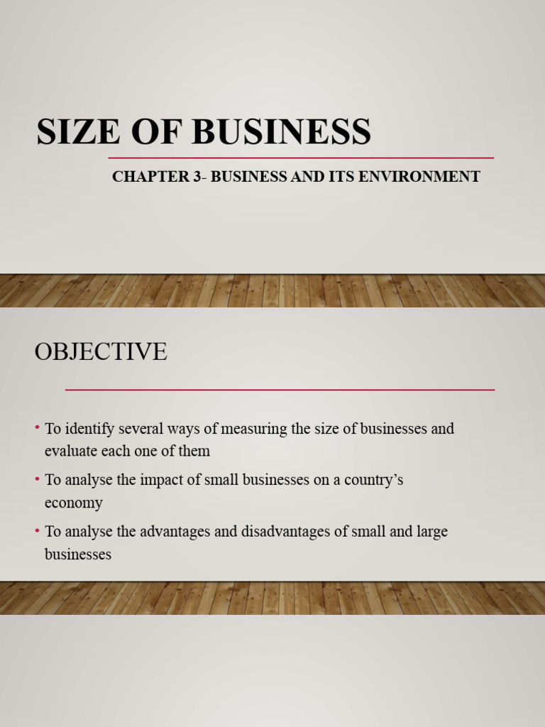 Measuring Business Size & Impact | PDF | Employment | Market Capitalization