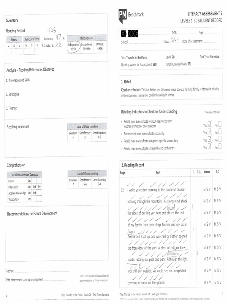 deniz end of year pm benchmark | PDF