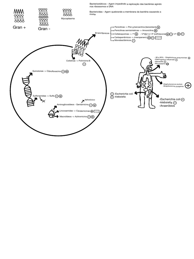 Resumo Atb | PDF | Biocidas | Medicina Clínica