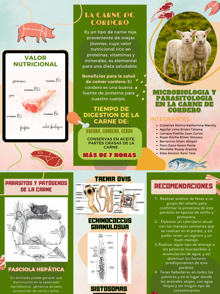 Tríptico Cordero (1) | PDF | Carne | Nutrición