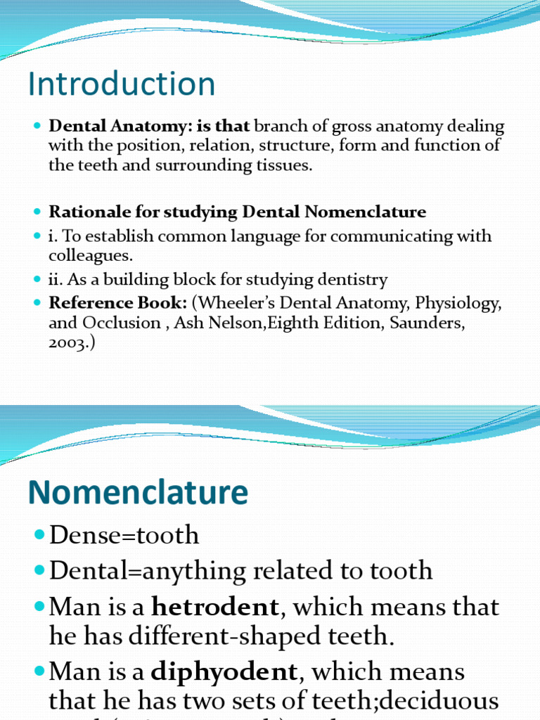 Introduction to Dental Anatomy | PDF | Foreign Language Studies | Art