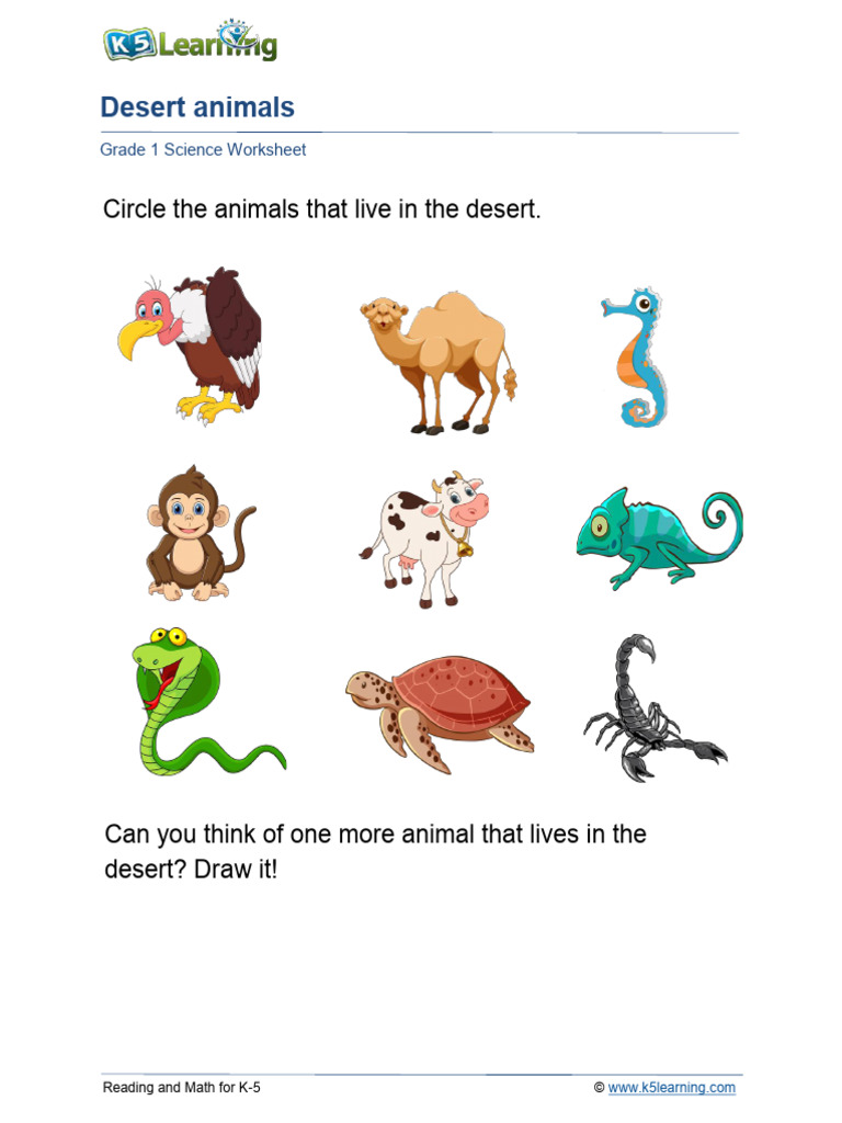 Desert Animals Worksheet for Grade 1 | PDF