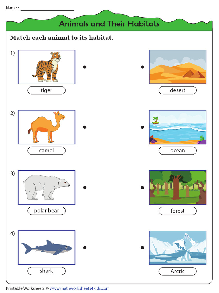 Match Animals To Their Habitat | PDF | Young Adult