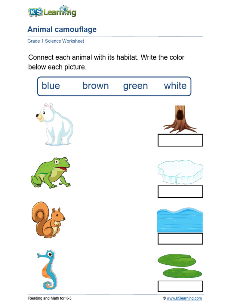Grade 1 Animal Camouflage B | PDF