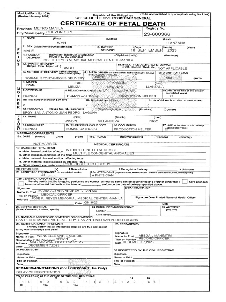 Intrauterine Fetal Demise Certificate | PDF | Mammalian Pregnancy ...