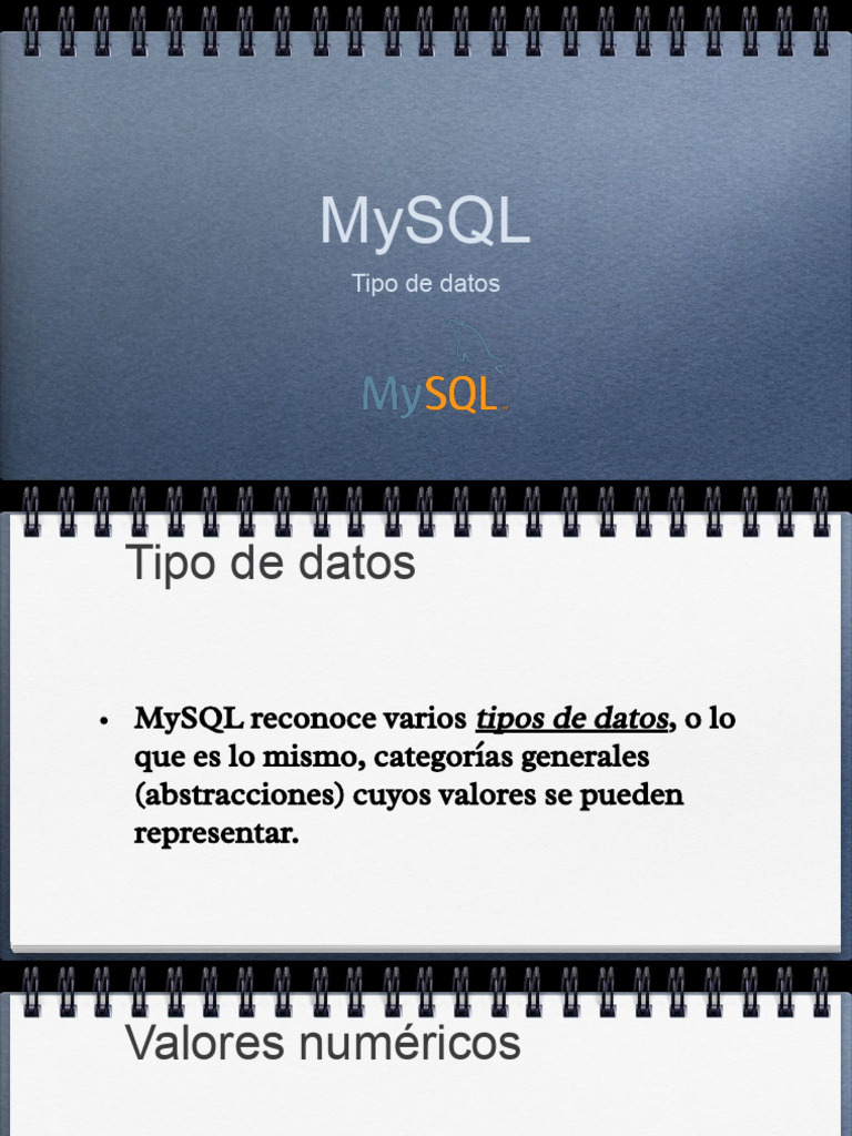Tipos de Datos | PDF | Byte | Tipo de datos