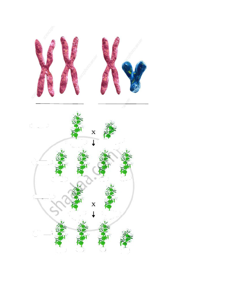 Bio Chap 3 Pdf