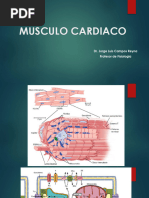 Importancia de la Contractilidad Cardíaca | PDF | Corazón | Músculo