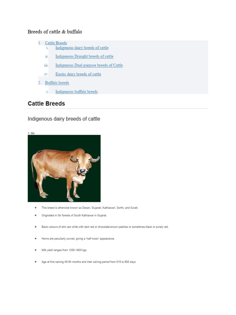 Breeds of cattle | PDF | Dairy Cattle | Cattle