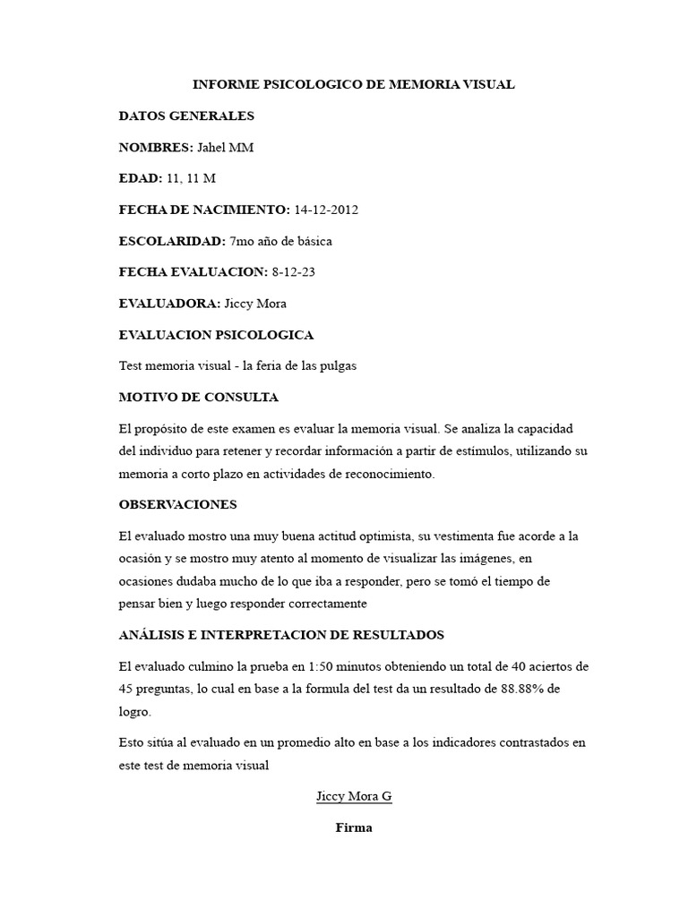 Informe Psicologico de Memoria Visual | PDF