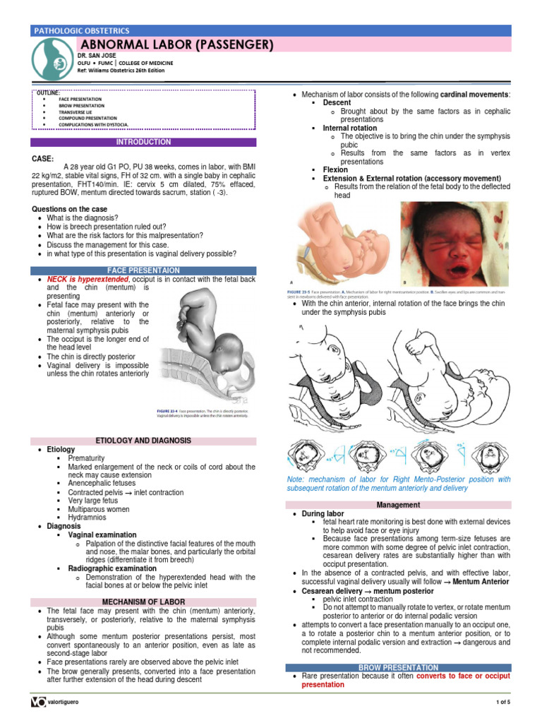 Vo - Pob - Ab Labor (Passenger) | PDF | Childbirth | Pelvis