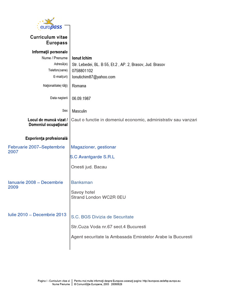 CV Ionut Ichim - Securitate și Vânzări | PDF