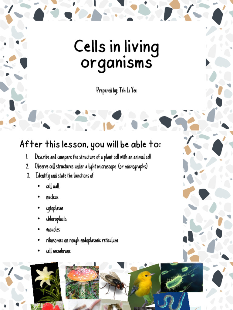 Cells in Organisms | PDF | Cell (Biology) | Chloroplast