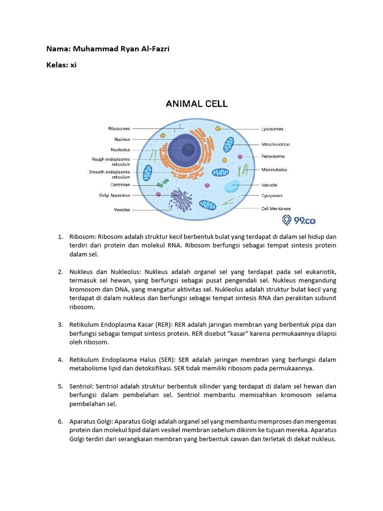 Sel Tumbuhan Dan Hewan - Muhammad Ryan Al-Fazri | PDF