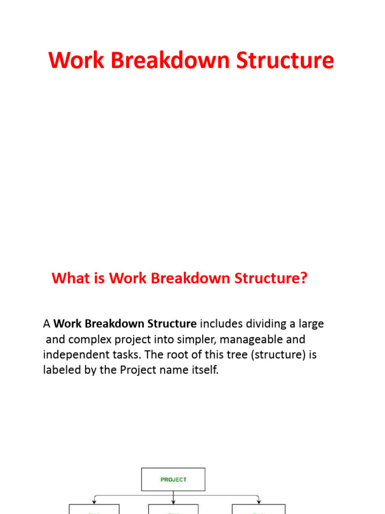 SPM week 5 Work Break Down Structure | PDF