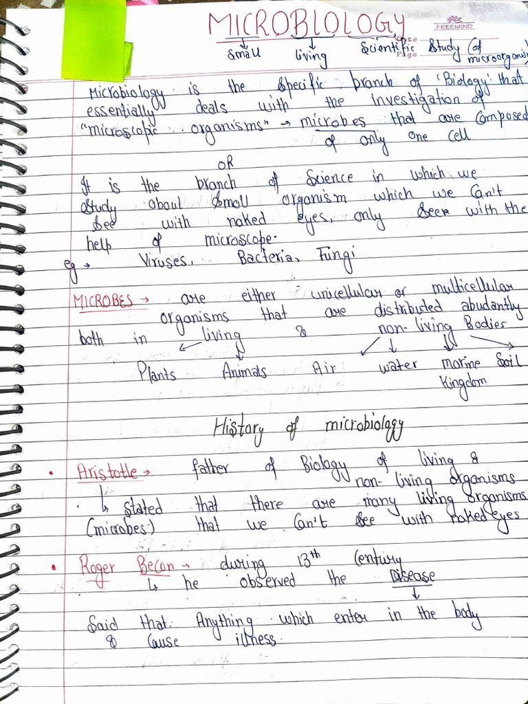 Microbiology Unit 1 | PDF