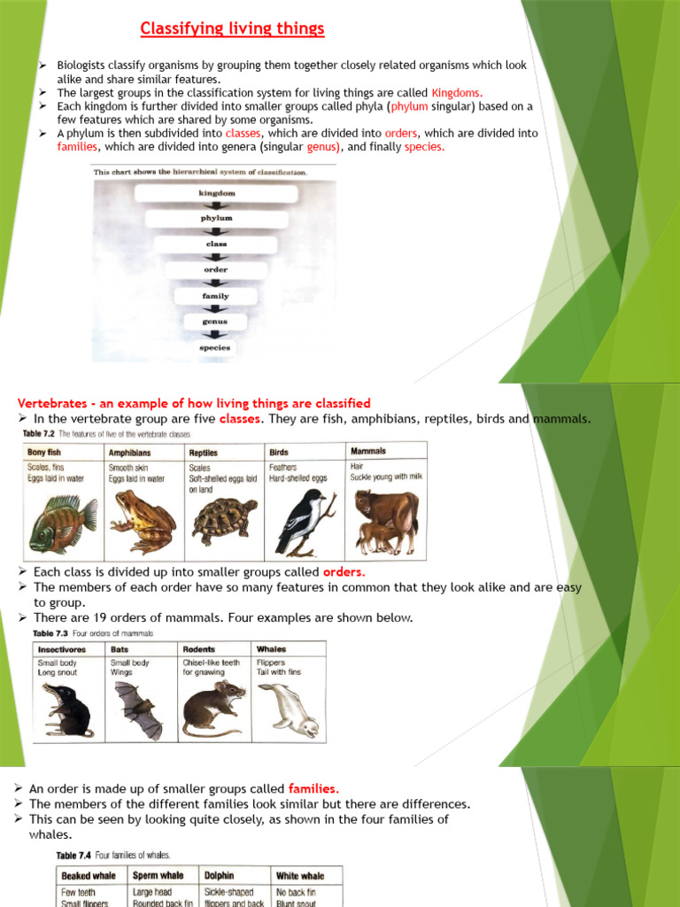 Binomial System | PDF | Genus | Taxa