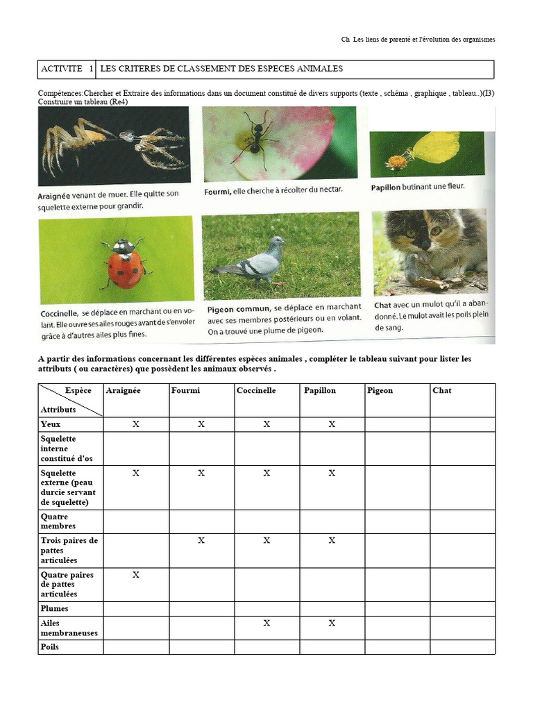 Activité 1 Les critères de classement des espèces animales . | PDF