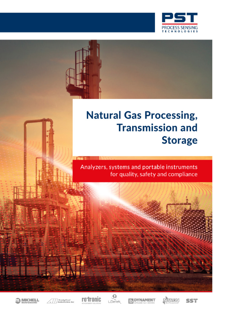 Natural Gas Processing, Transmission and Storage - 54024E - PST ...