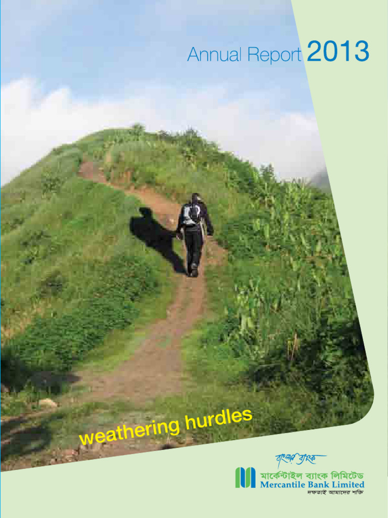 Annual Report 2013 | PDF | Revenue | Capital Requirement