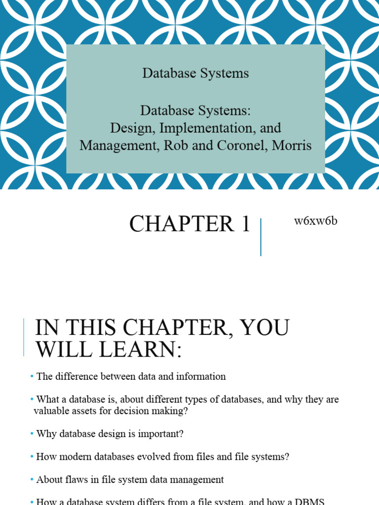 Chapter 1 | PDF | Databases | Computer File