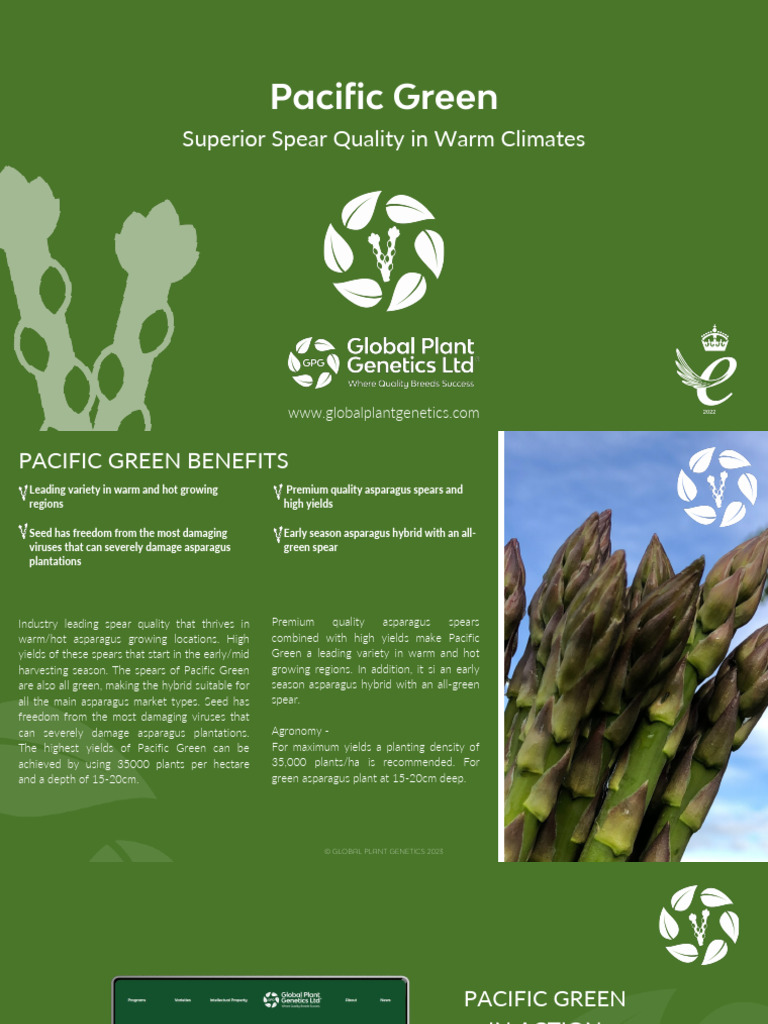 New Pacific Green Brochure | PDF | Asparagus | Hybrid (Biology)