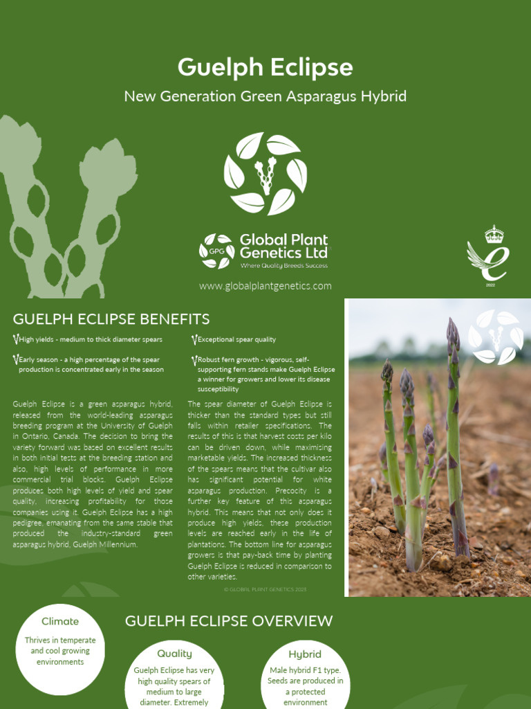 guelph-eclipse-brochure | PDF