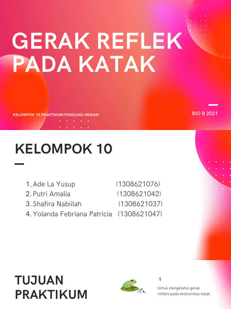 Gerak Reflek Pada Katak | PDF