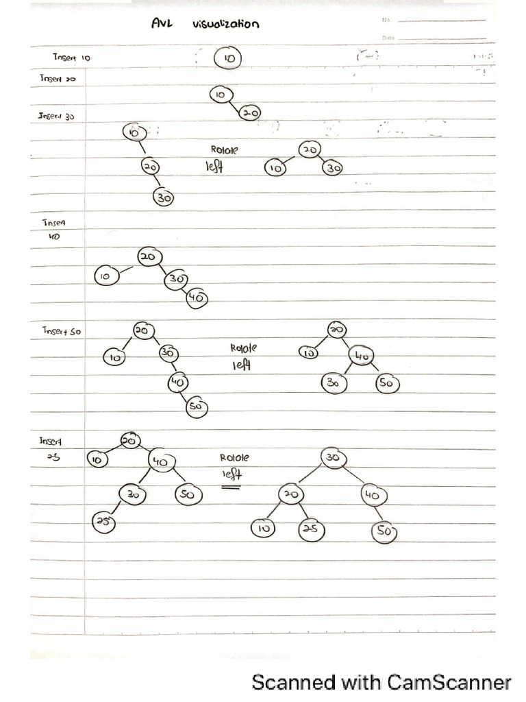 AVL Visualisation | PDF