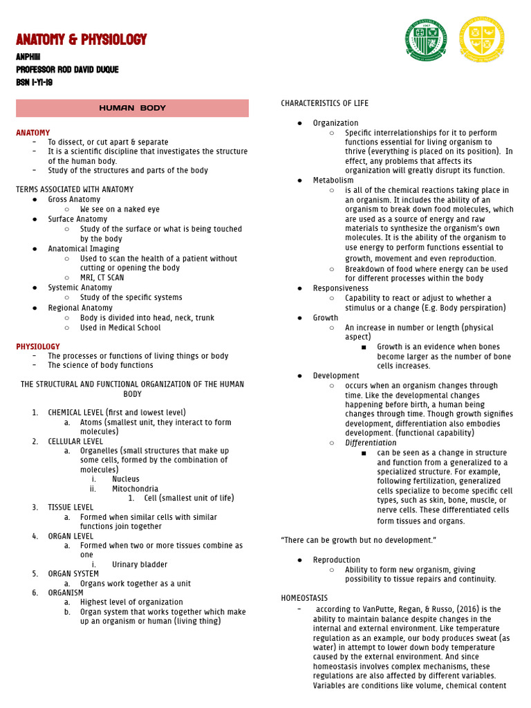 Anaphy Transes - Human Body | Download Free PDF | Anatomical Terms Of ...