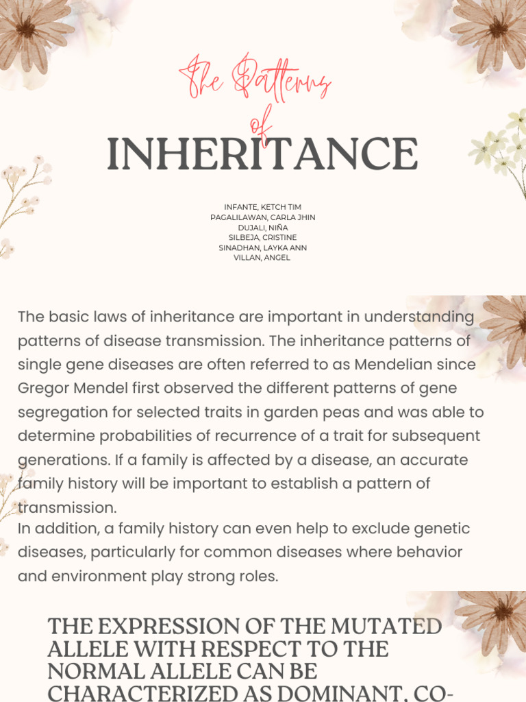 Patterns of Inheritance | PDF | Dominance (Genetics) | Genetic Disorder