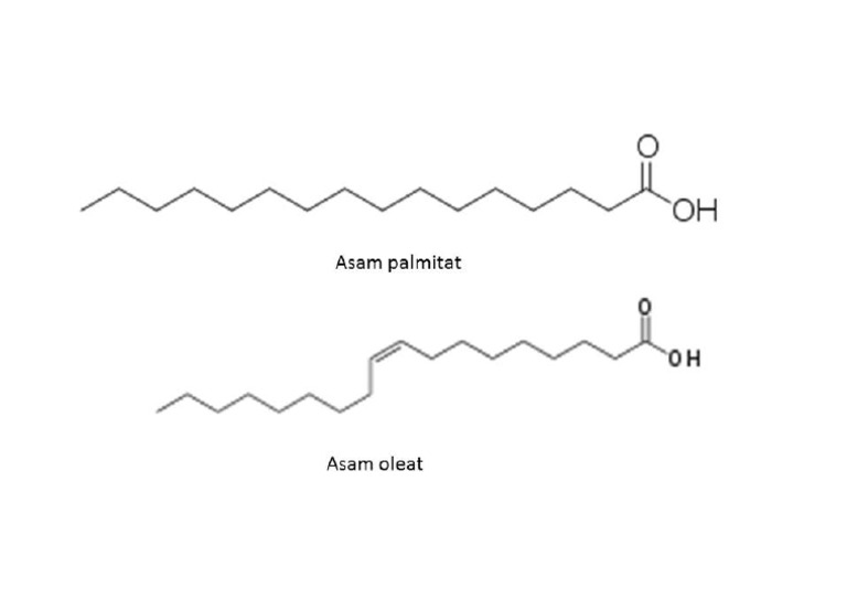 Asam Palmitat Dan Asam Oleat | PDF