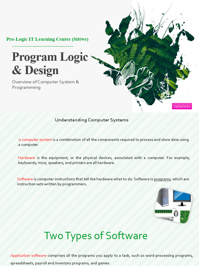 Program Logic & Design | PDF