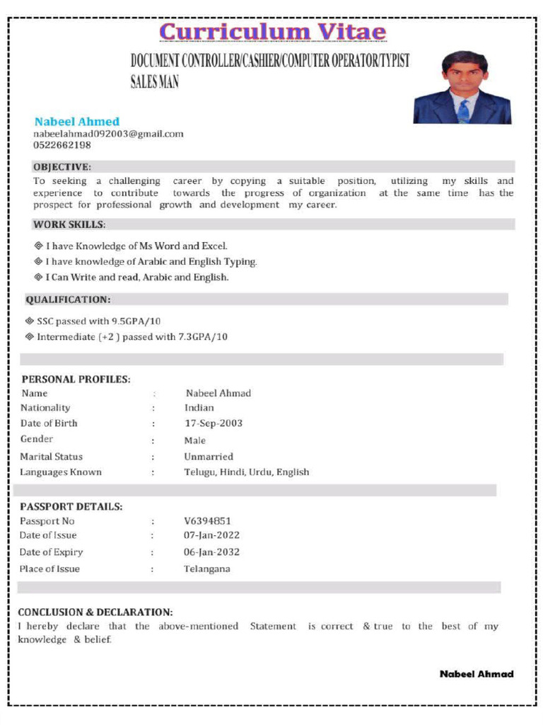 My CV | PDF