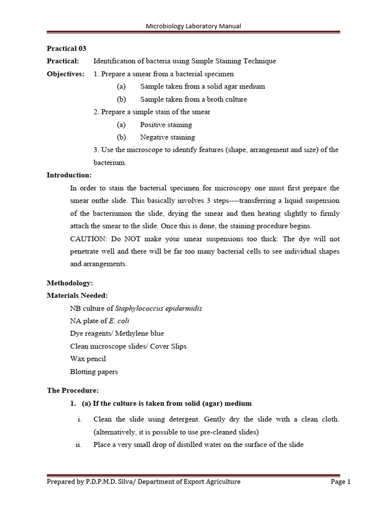 Microbiology-Practical 3 | PDF | Staining | Bacteria