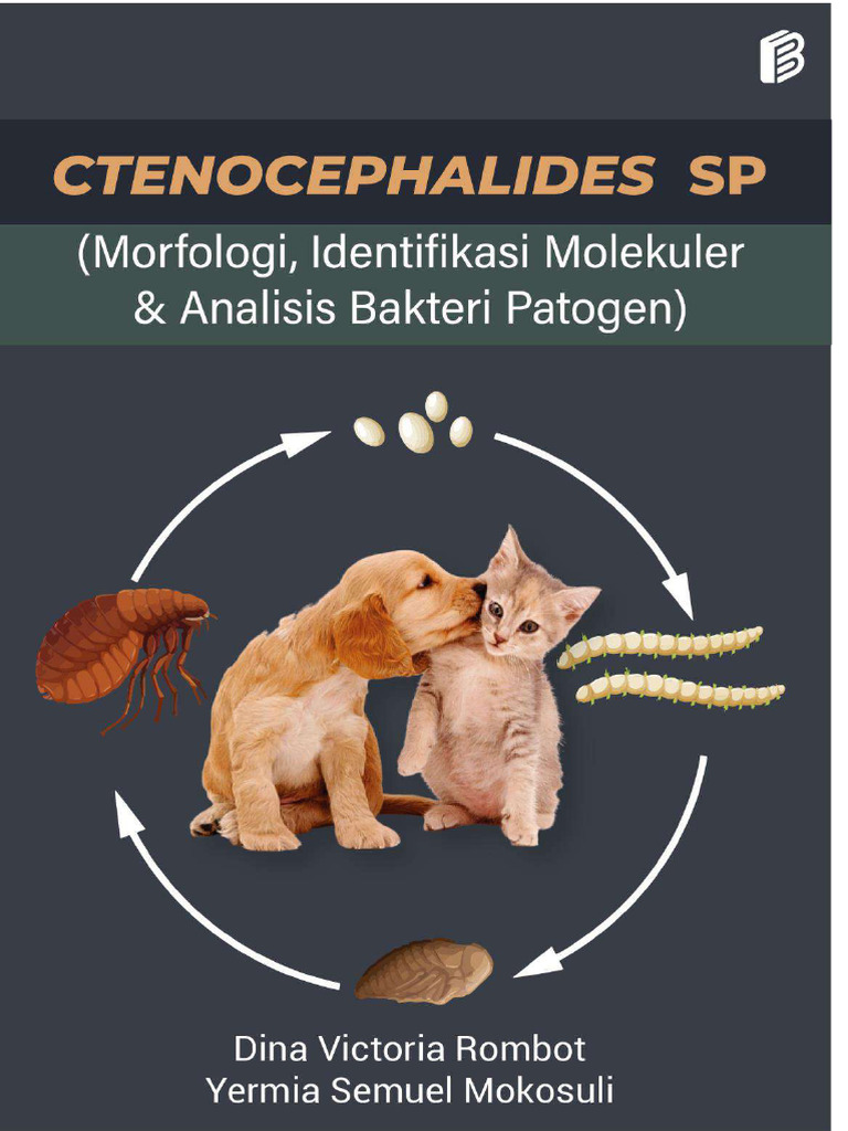 MOKOSULI BUKU REFERENSI CTENOCEPHALIDES SP MORFOLOGI, IDENTIFIKASI ...