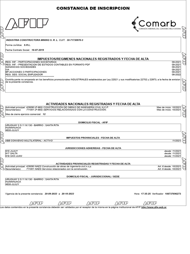 Constancia AFIP ICM | Descargar gratis PDF | Impuestos | Business
