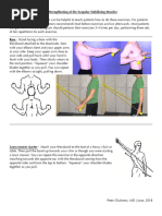 Scapular Stabilisation: Y-W-T Exercises | PDF