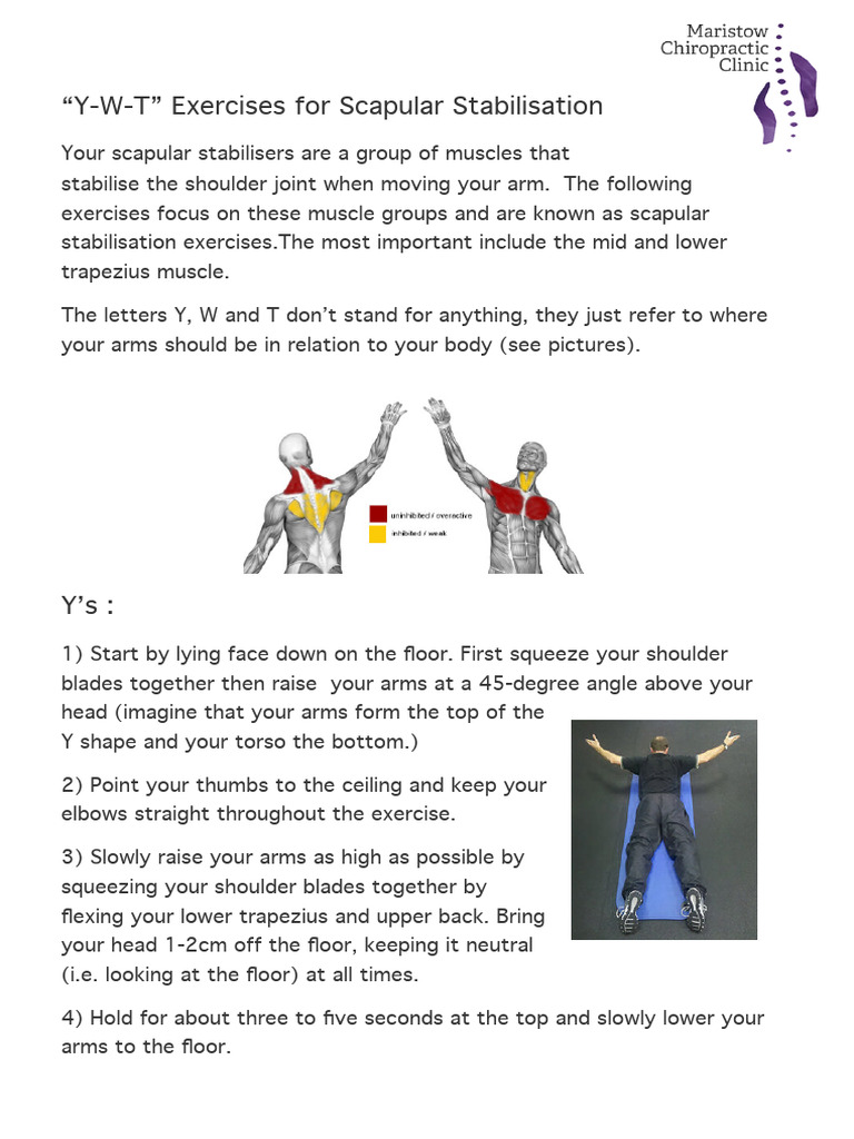 Y-W-T Scapular Exercises | PDF