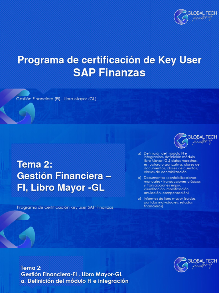 TEMA-2-SAP-FI | PDF