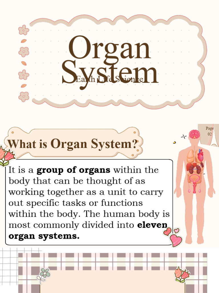 Science Report Organ system | PDF | Nervous System | Motor Neuron