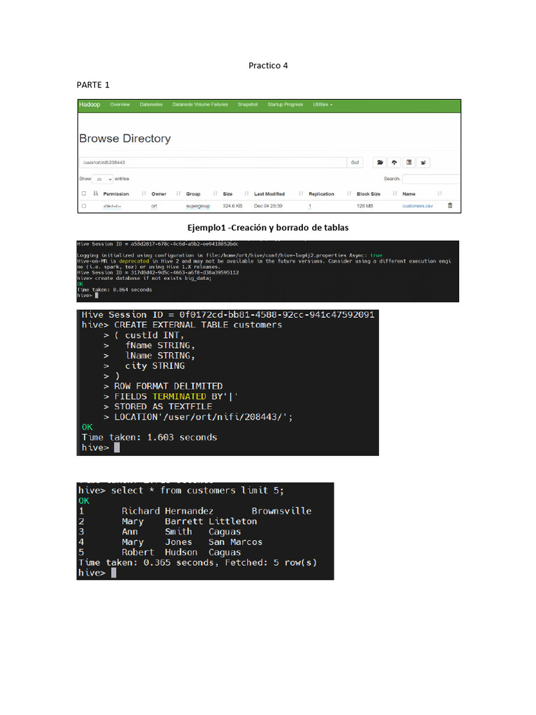 Practico Big Data - Hive | PDF