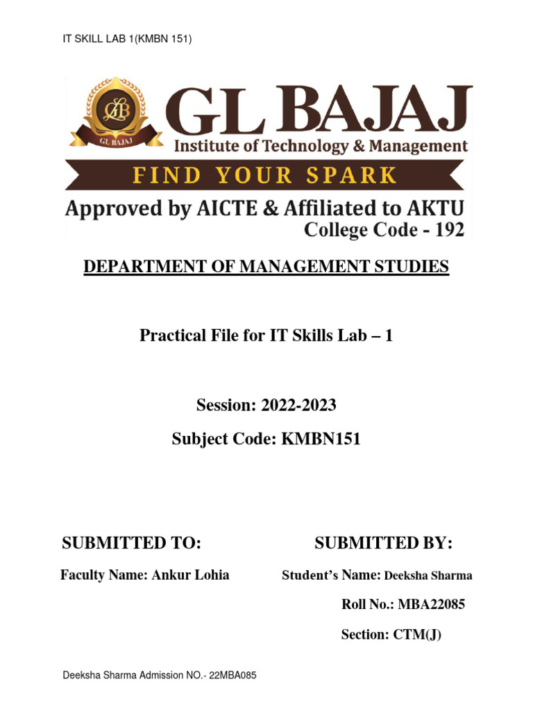 IT Skills Lab Practical Guide | PDF | Microsoft Word | Microsoft Excel