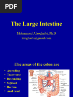 Understanding Haustrations in the Colon | PDF | Large Intestine | Organ ...