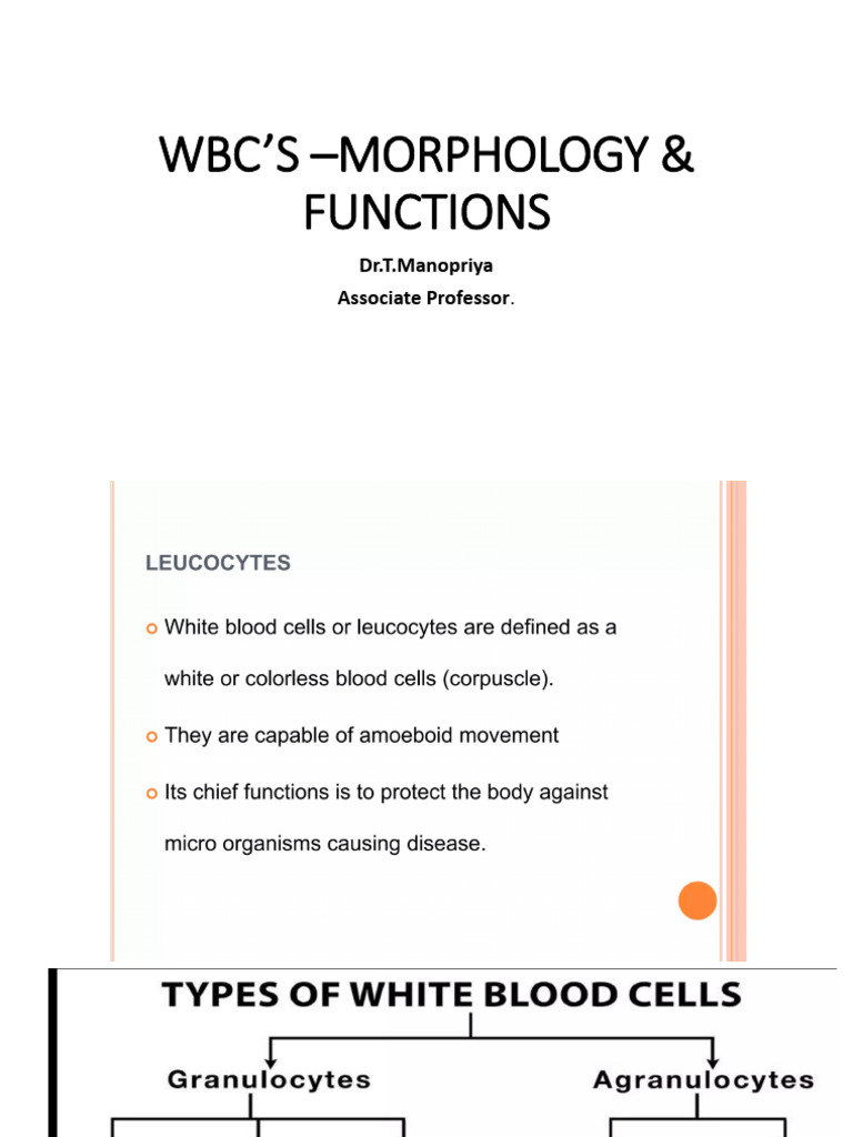 WBC'S | PDF