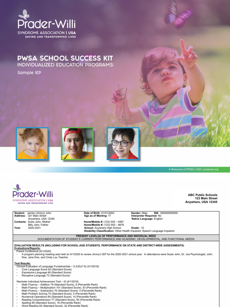 Sample IEP | PDF
