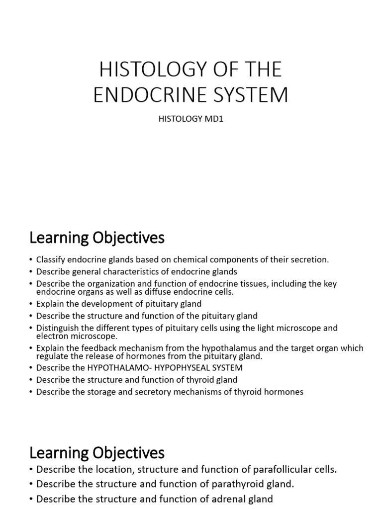 Lecture 25 - Histology of The Endocrine System | PDF