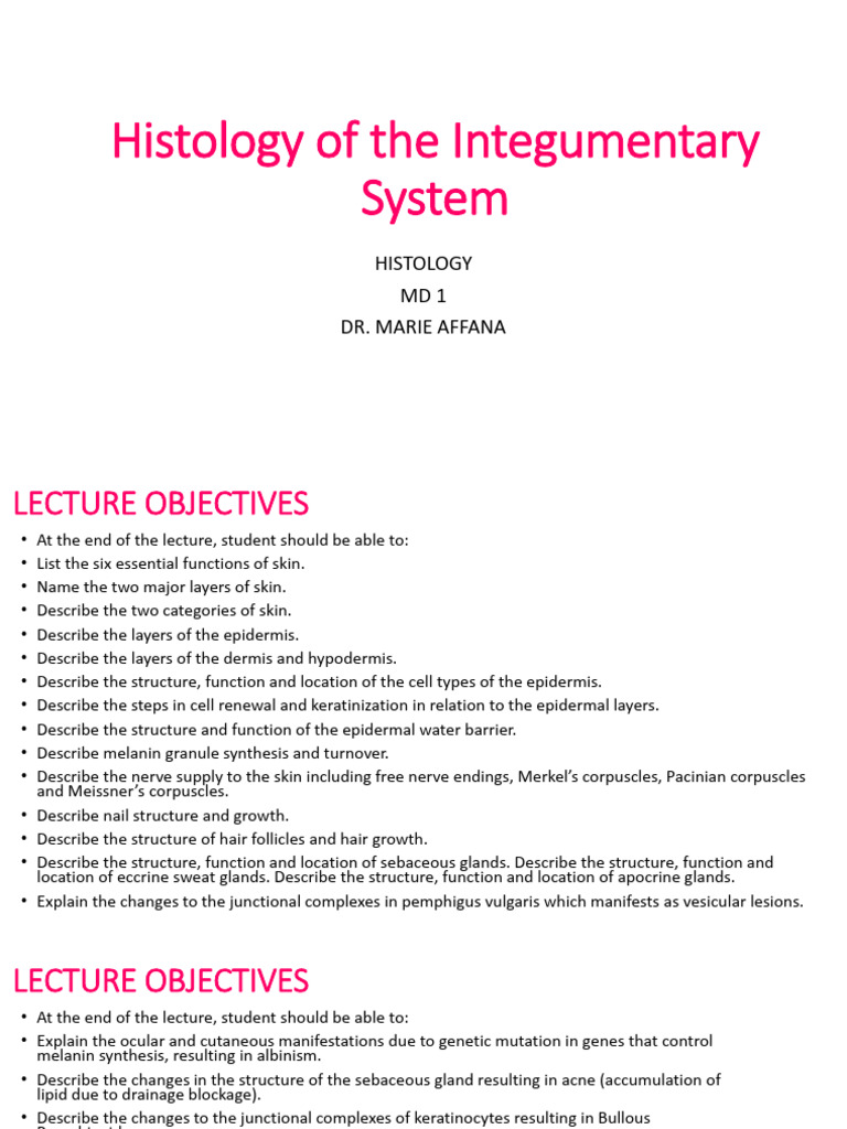 Lecture 27 - Histology of the Integumentary System 2 | PDF | Skin ...