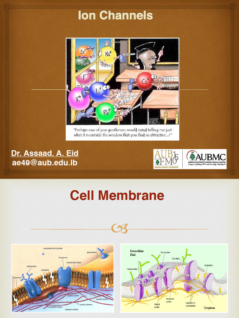 Chanels+and+Transporters 2019 | PDF | Ion Channel | Cell Membrane